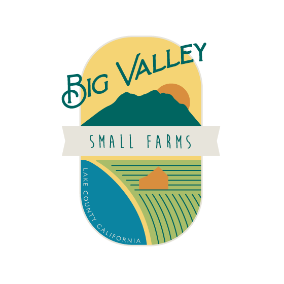 Start as Visitors, Leave as Friends: The Big Valley, Small Farms Tour ...