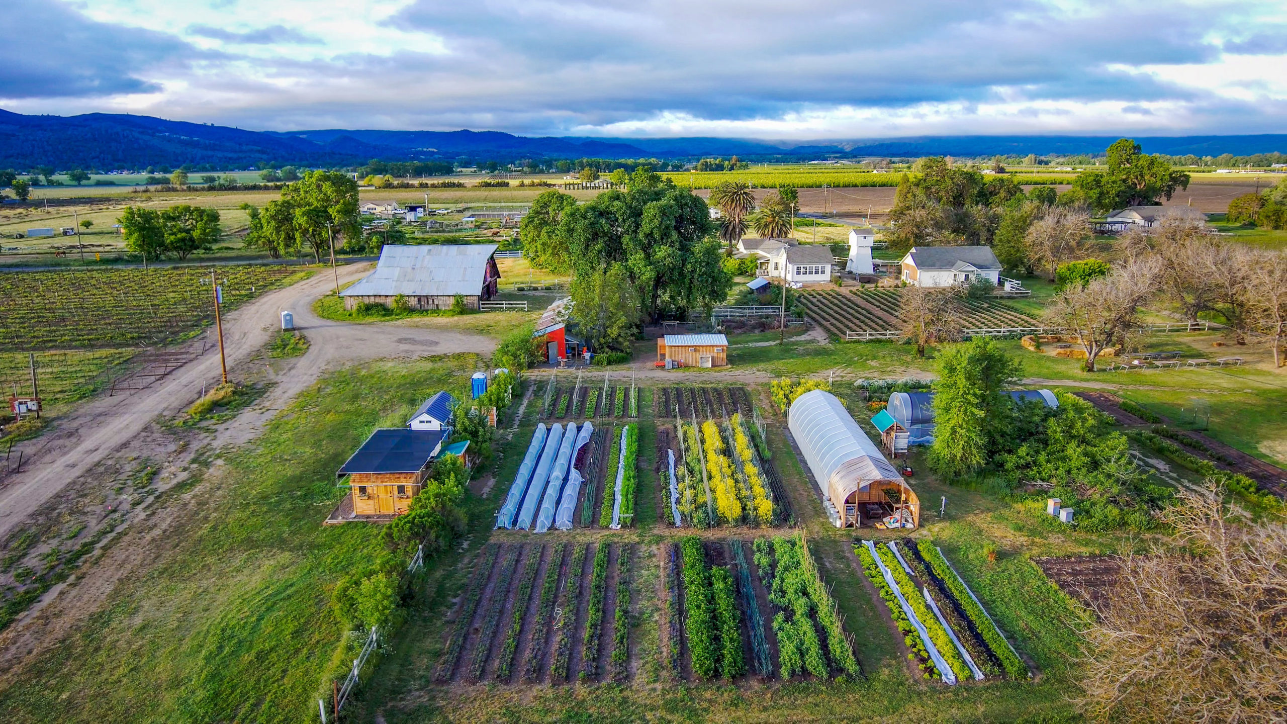 7x7's Modern Guide to Lake County: Small Town Charm, Volcanic Wines ...