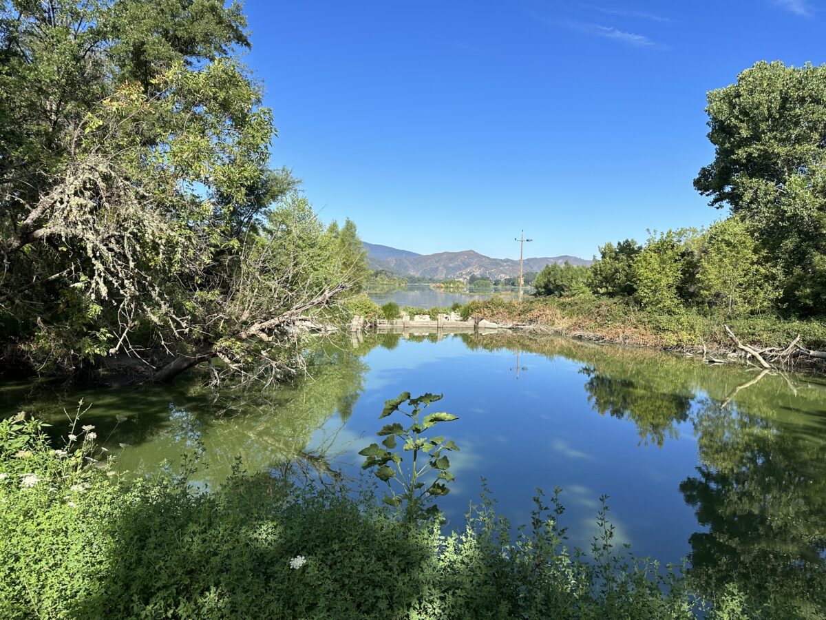 Clear Lake Water Loop 7: Rodman Slough - Lake County